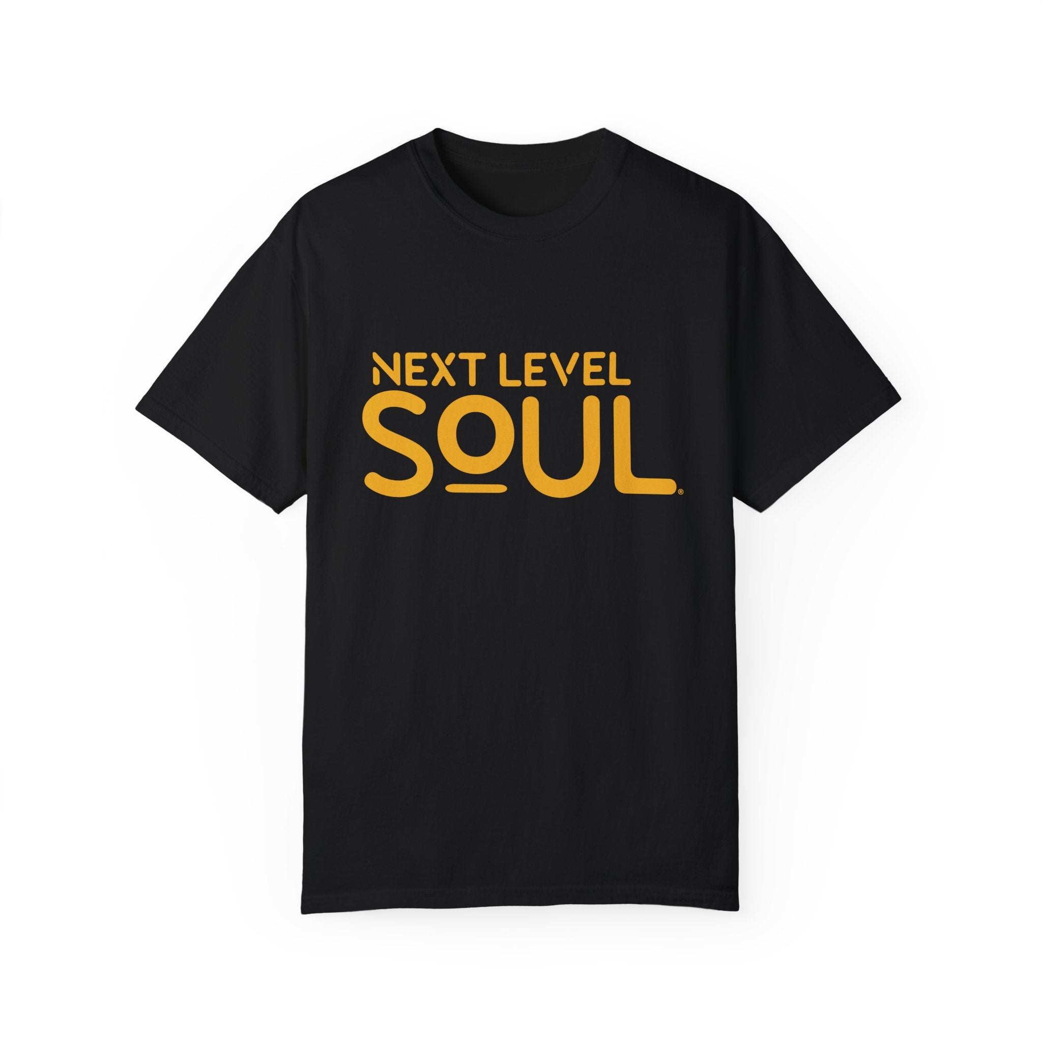 Next Level Soul Unisex T-Shirt – Next Level Soul Shop